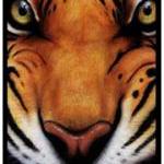 Iphone5 Case Tiger Cases For Iphone Cases- Cool Iphone Cases ...